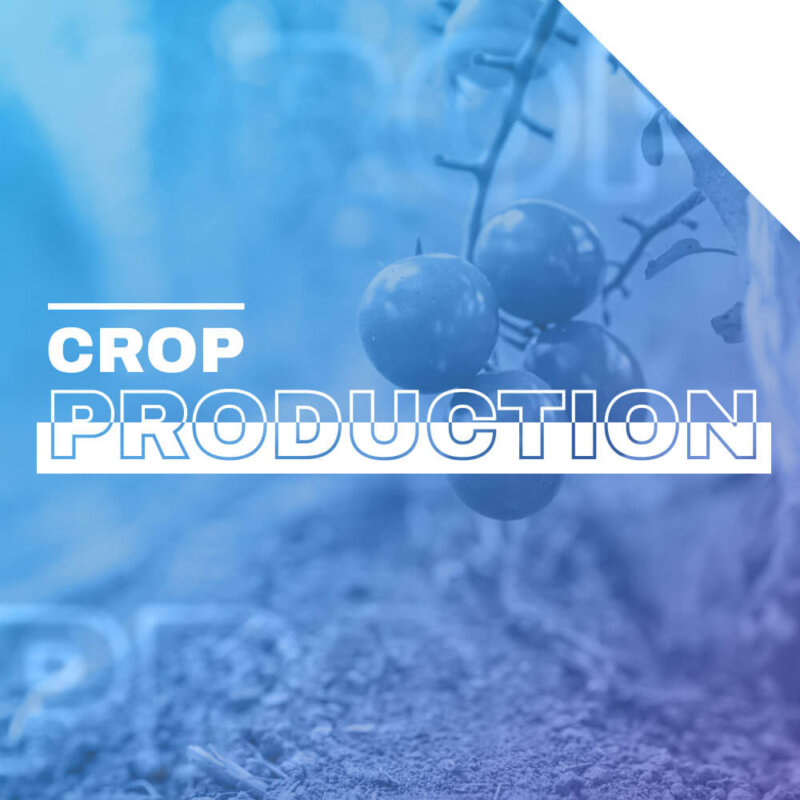 Did You Know? Crops Need this Essential Ingredient - Mosaic