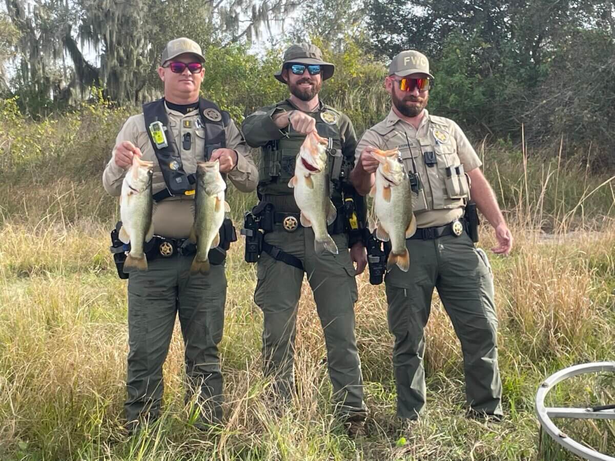 Fish Collection Begins for Florida Fishing Trail - Mosaic